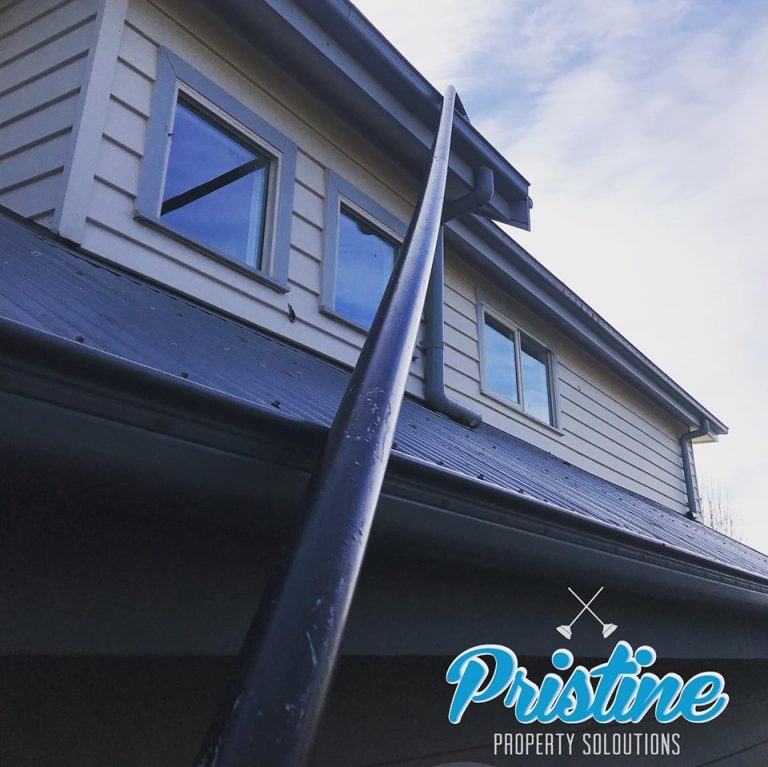 Professional Gutter Cleaning Services | Pristine Property Solutions